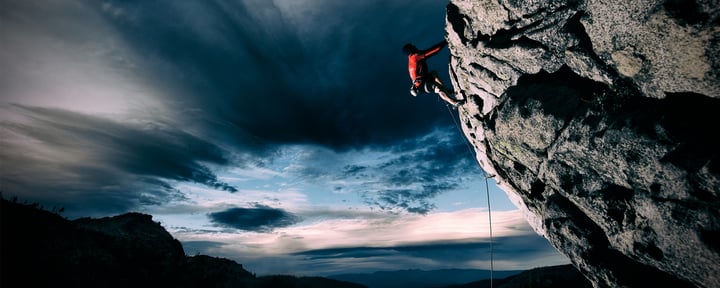 Quaestus werkt vanuit de Secure Base Leadership methodiek